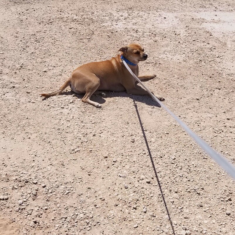 Download Perks Revised (Explicit) by YaH Boi | eMusic