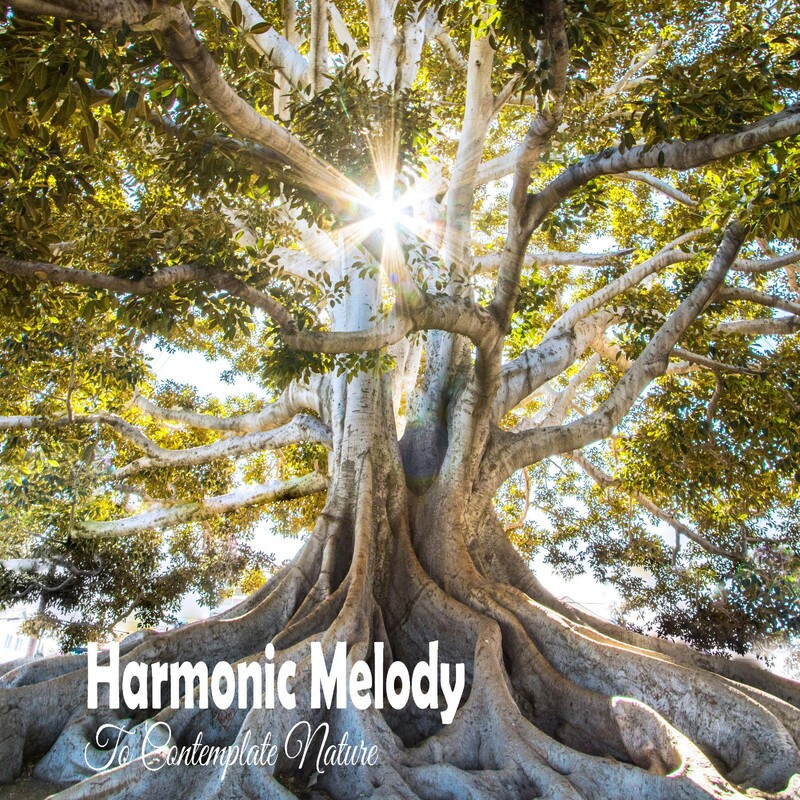 Download Harmonic Melody To Contemplate Nature by Academia de ...