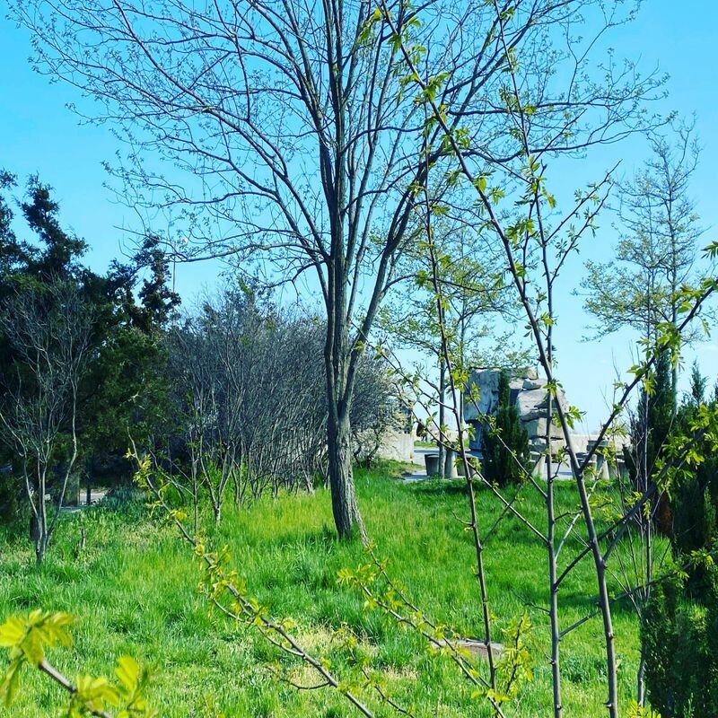 Download I Couldn't Believe by Israel Simcha Haim | eMusic