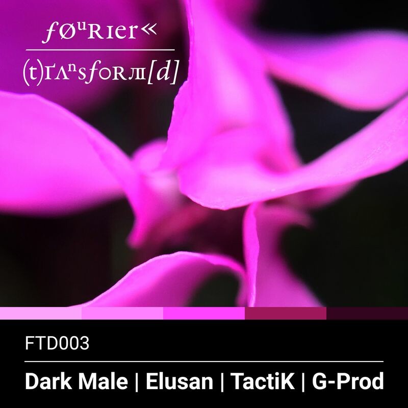 Download Fourier Transform(d) Three EP by Various Artists | eMusic