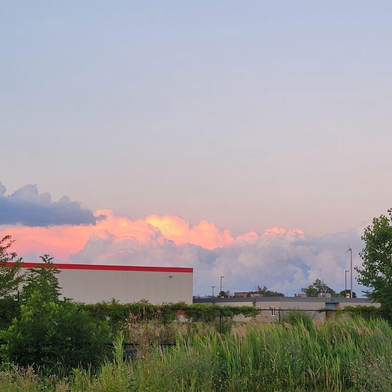 Download Bloody War by A Loving Light | eMusic