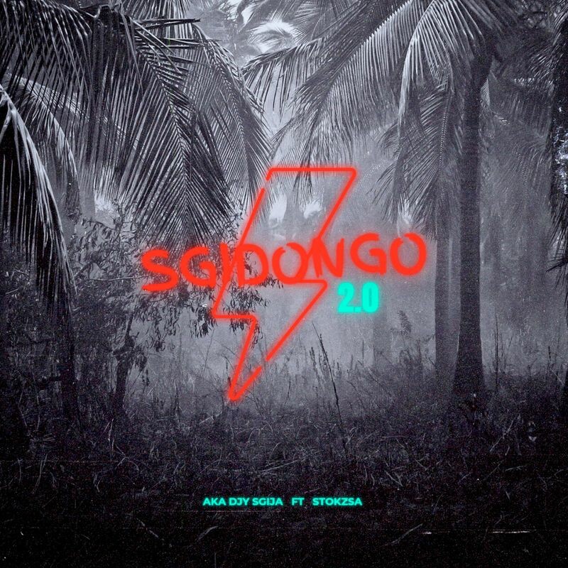 Download Sgidongo 2.0 by Aka Djy Sgija, Stokzsa | eMusic
