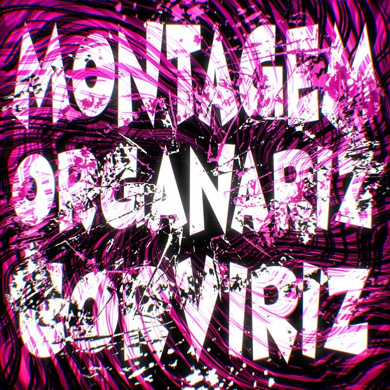 Download MONTAGEM ORGANARIZ CORVIRIZ by DJ JSL DA SL | eMusic