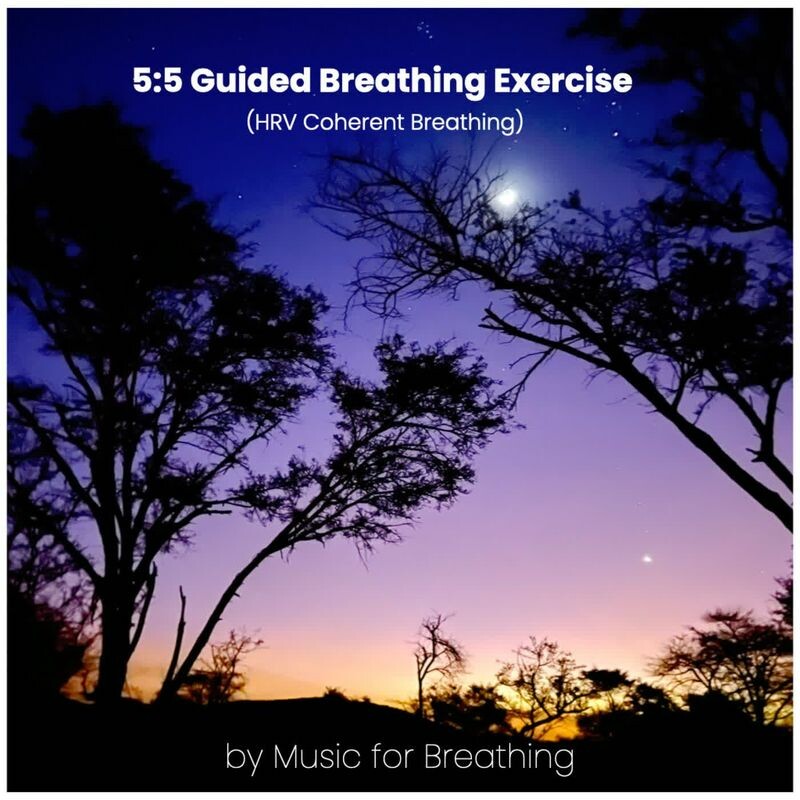 Download 5:5 Guided Breathing Exercise (HRV Coherent Breathing) by ...