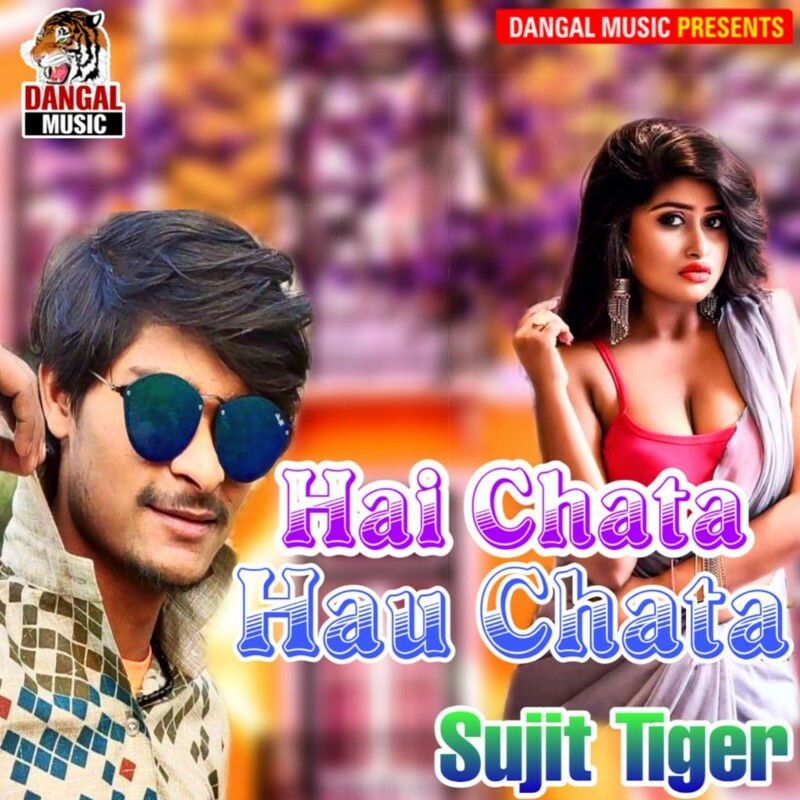 Download Hai Chata Hau Chata by Sujit Tiger | eMusic