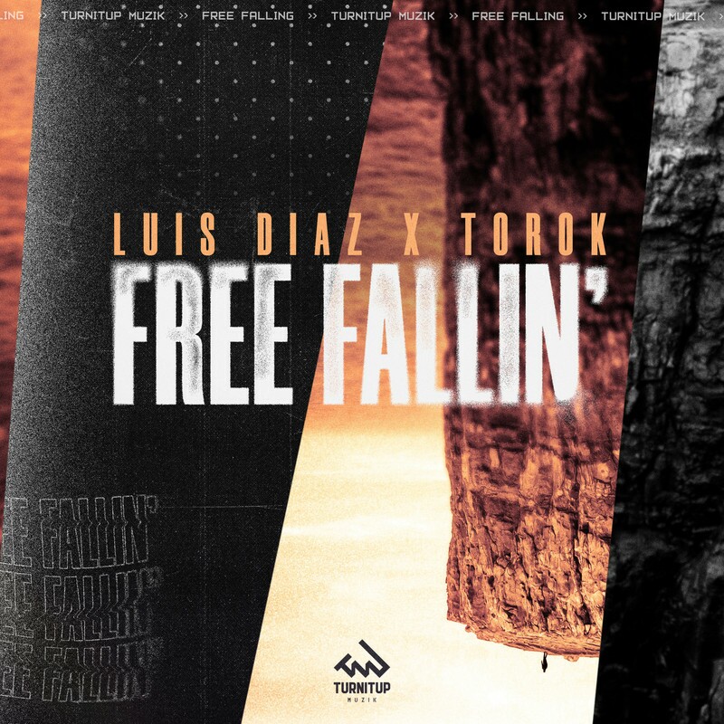 Download Free Fallin’ by Luis Diaz & TOROK | eMusic