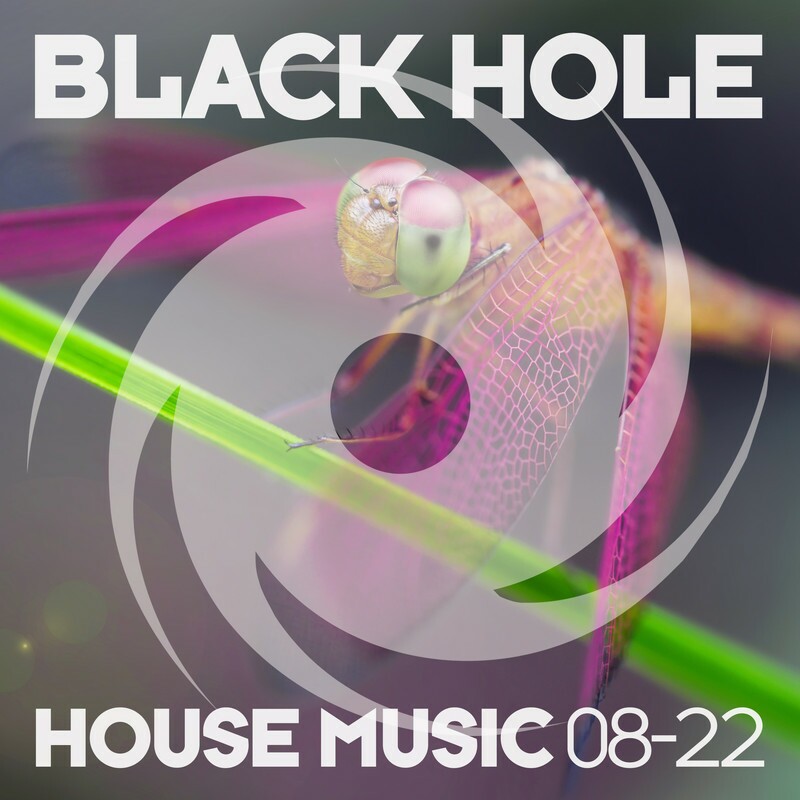 Download Black Hole House Music 08-22 by Various Artists | eMusic