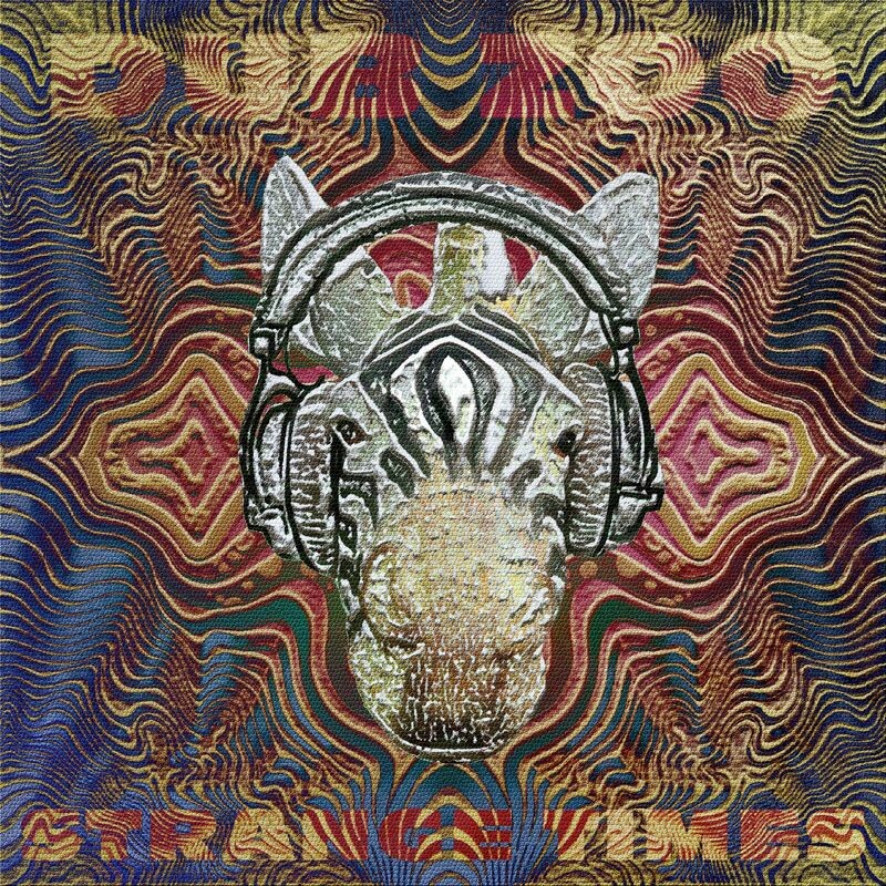 Download Strange Times by Dub Zoo | eMusic
