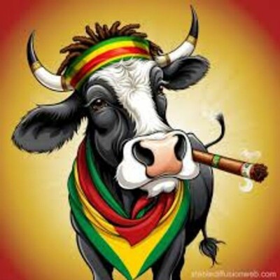 Download Rasta Cow Music by Rasta Cow | eMusic