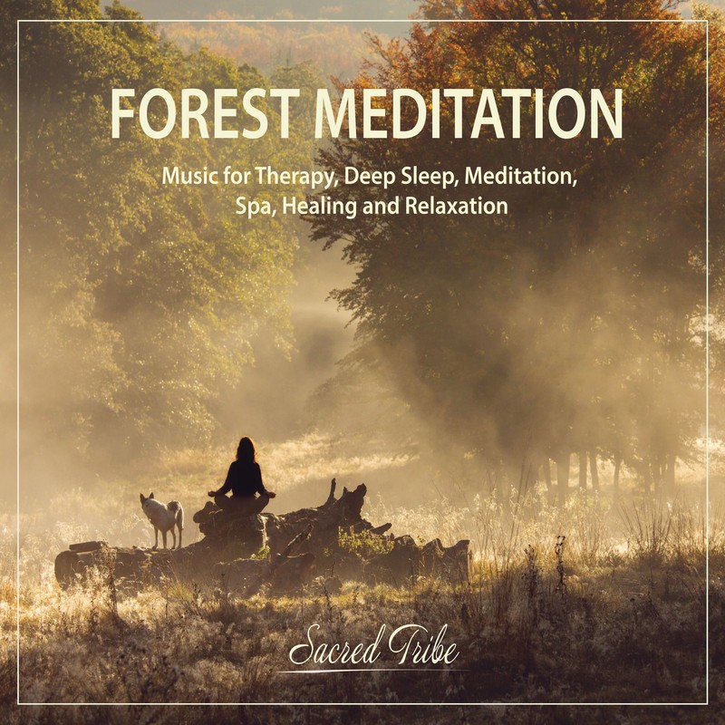 Download Forest Meditation Music For Therapy Deep Sleep Meditation